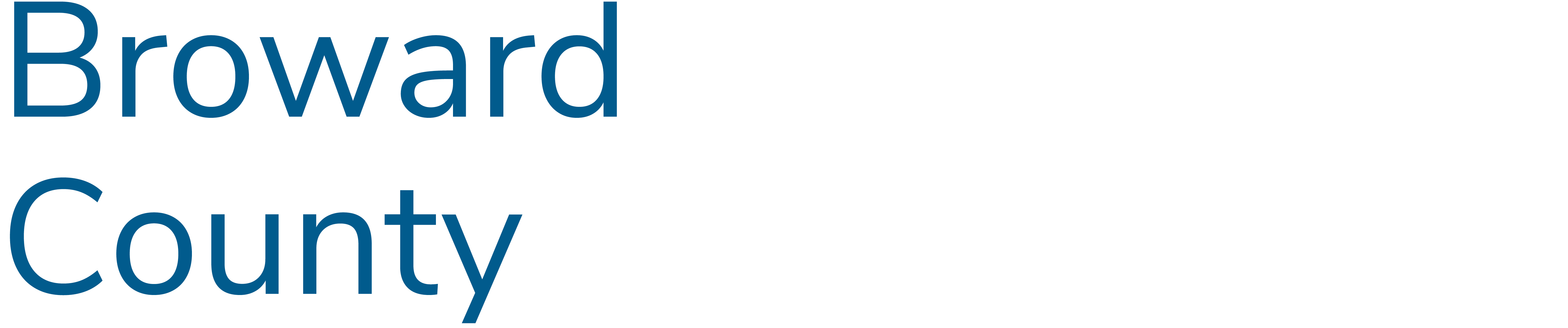 BROWARD COUNTY BRD OF CTY COMM - 401A